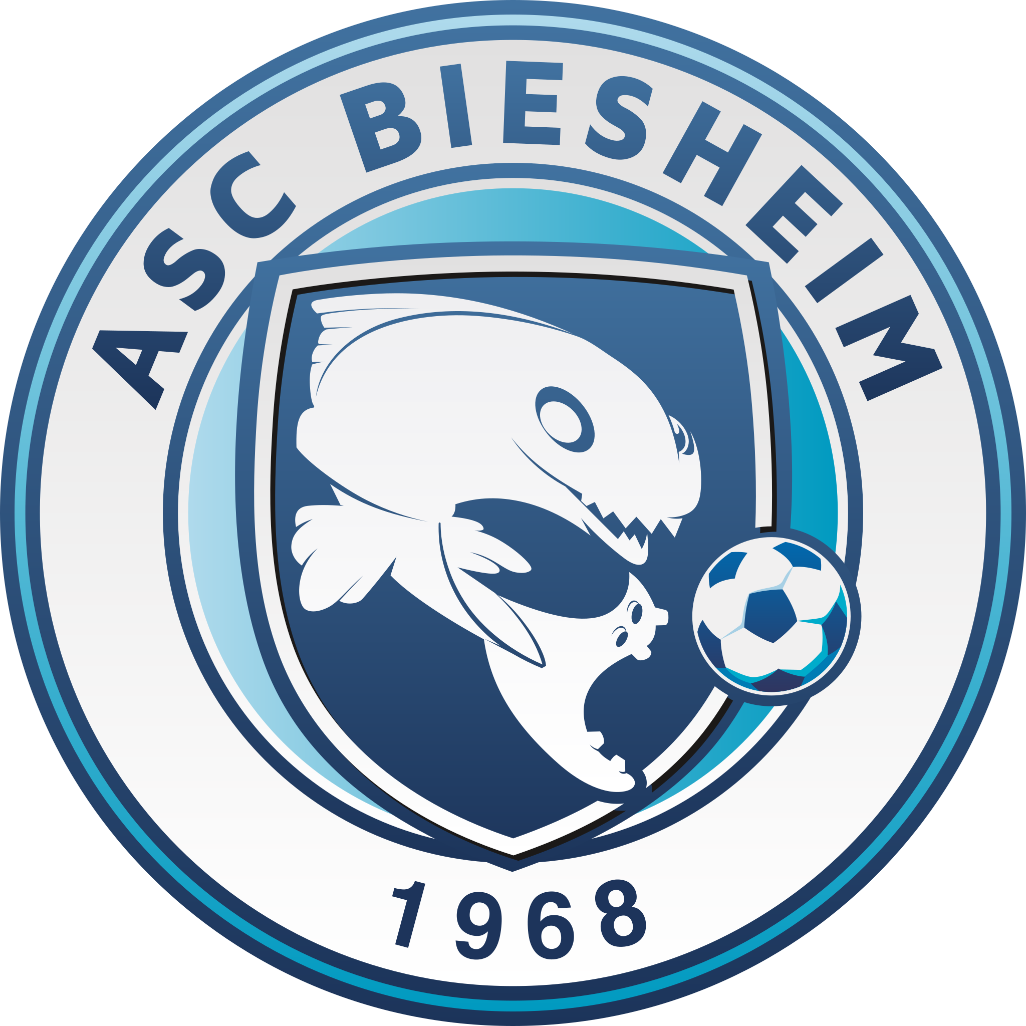 Accueil - équipe de football du FC Saint Louis Neuweg